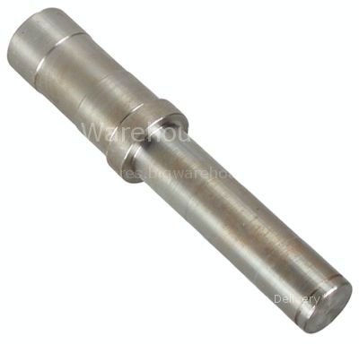 Fimar Dough mixer IM30L spindle for mixer bowl 20mm d1 25mm l 138mm 25 ...