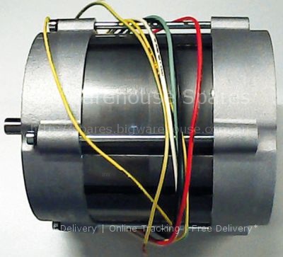 Fimar Meat mincer TR22TSQ0 motor | BigWarehouse Spares